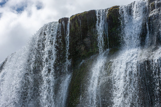 Korokoro bilder – Bläddra bland 79 stockfoton, vektorer och videor ...