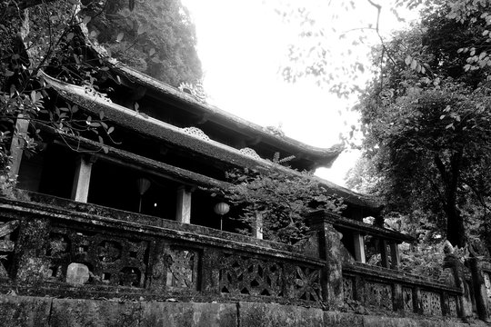 Bich Bilder – Durchsuchen 1,891 Archivfotos, Vektorgrafiken und Videos ...