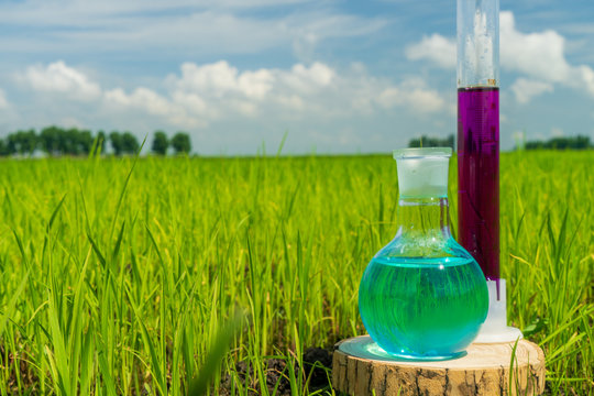 Agrochemistry Images – Browse 916 Stock Photos, Vectors, and Video ...