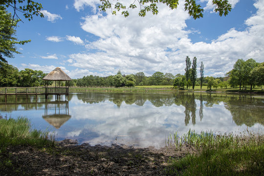 Kenmo Images – Browse 48 Stock Photos, Vectors, and Video | Adobe Stock