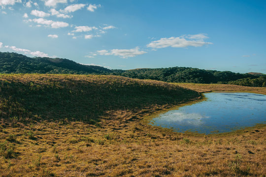 Lowland Images – Browse 95,255 Stock Photos, Vectors, and Video | Adobe ...