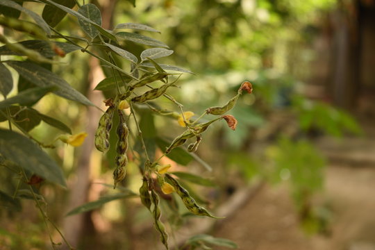 Nandolo Bilder – Durchsuchen 31 Archivfotos, Vektorgrafiken und Videos ...