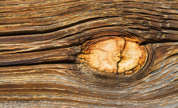 Knag-Bilder: Stock-Fotos & -Videos. | Adobe Stock