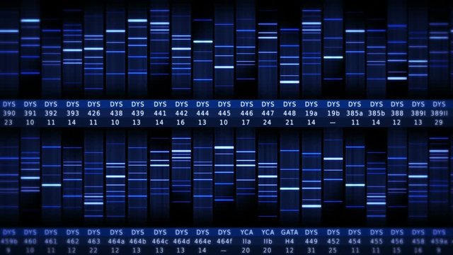 รูปภาพGenotype – เลือกดูภาพถ่ายสต็อก เวกเตอร์ และวิดีโอ2,112 | Adobe Stock