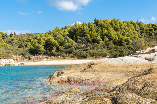 รูปภาพToroni – เลือกดูภาพถ่ายสต็อก เวกเตอร์ และวิดีโอ484 | Adobe Stock