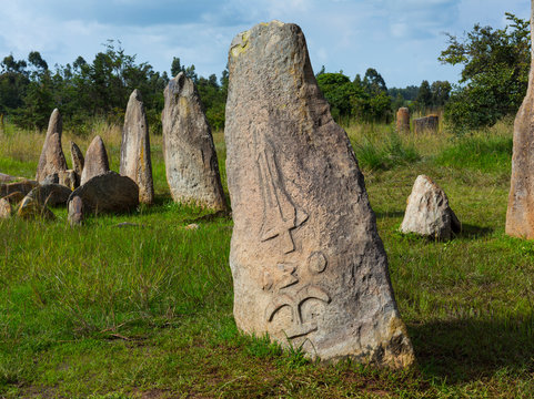 รูปภาพTiya – เลือกดูภาพถ่ายสต็อก เวกเตอร์ และวิดีโอ104 | Adobe Stock