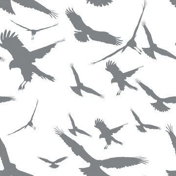 Buzzard Logo Bilder – Durchsuchen 205 Archivfotos, Vektorgrafiken und ...