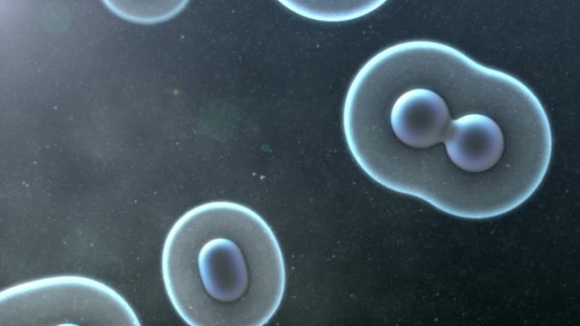 "Cell Division" Images – Browse 5,570 Stock Photos, Vectors, and Video ...