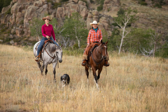 "Working Ranch" Images – Browse 172 Stock Photos, Vectors, and Video ...