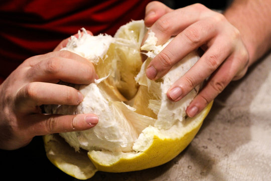 รูปภาพPomela – เลือกดูภาพถ่ายสต็อก เวกเตอร์ และวิดีโอ568 | Adobe Stock