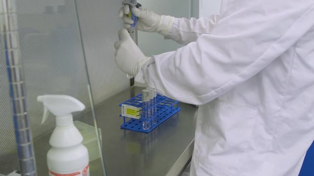 Vile Images – Browse 307,476 Stock Photos, Vectors, and Video | Adobe Stock