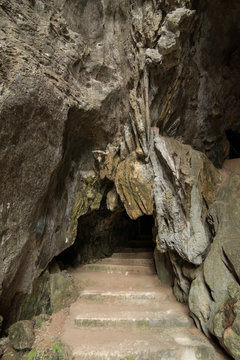 "Monkey Cave" Bilder – Durchsuchen 83 Archivfotos, Vektorgrafiken und ...