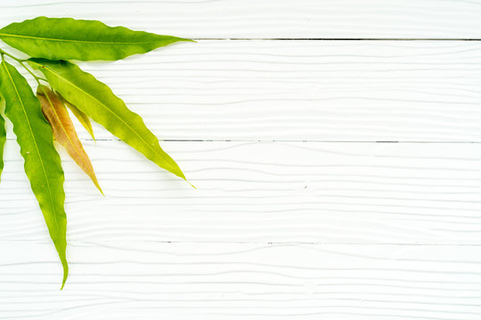 Asopalav Images – Browse 420 Stock Photos, Vectors, and Video | Adobe Stock