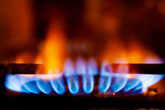 Hornalla bilder – Bläddra bland 128 stockfoton, vektorer och videor ...