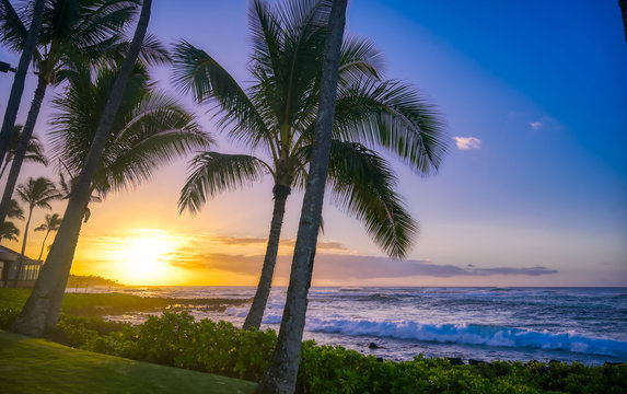 High Res Hawaii Sun Sets