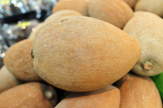 Sapoche Images – Browse 35 Stock Photos, Vectors, and Video | Adobe Stock