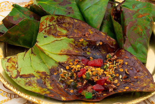 รูปภาพBeeda – เลือกดูภาพถ่ายสต็อก เวกเตอร์ และวิดีโอ74 | Adobe Stock