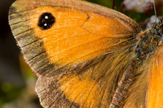 Gatekeeper Images – Browse 2,561 Stock Photos, Vectors, and Video ...