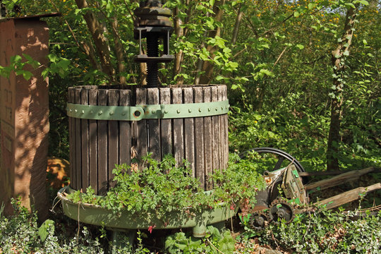 Torkeln Bilder – Durchsuchen 65 Archivfotos, Vektorgrafiken und Videos ...