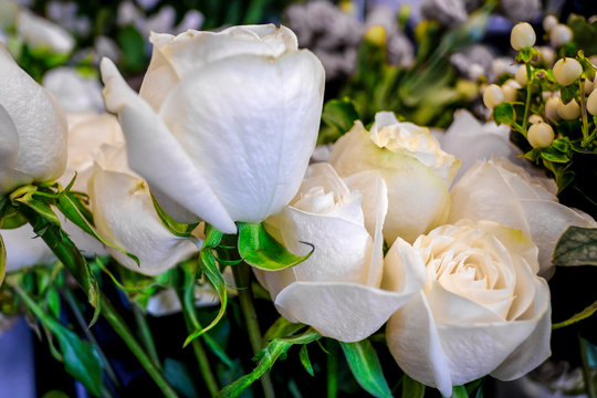 รูปภาพFarden – เลือกดูภาพถ่ายสต็อก เวกเตอร์ และวิดีโอ176 | Adobe Stock