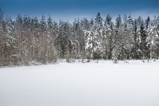 Farest Images – Browse 42 Stock Photos, Vectors, and Video | Adobe Stock