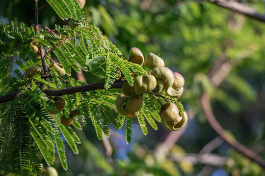 รูปภาพGuatapana – เลือกดูภาพถ่ายสต็อก เวกเตอร์ และวิดีโอ93 | Adobe Stock