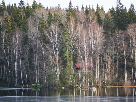 Finter Images – Browse 25 Stock Photos, Vectors, and Video | Adobe Stock