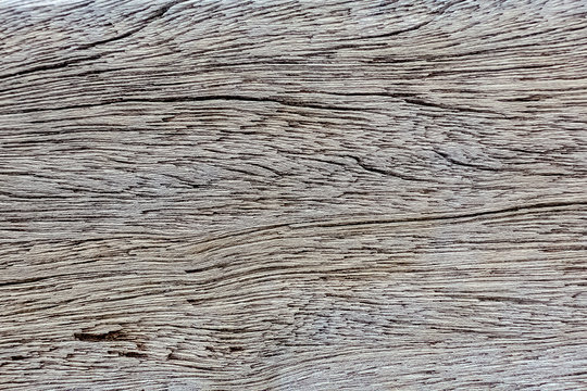 รูปภาพHolzstrukturen – เลือกดูภาพถ่ายสต็อก เวกเตอร์ และวิดีโอ445 ...