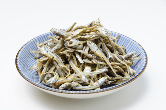 Free Wo Images – Browse 638 Free Stock Photos, Vectors, and Video ...