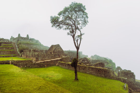 Peru Machu-Picchu Bilder – Durchsuchen 629 Archivfotos, Vektorgrafiken und Videos | Adobe Stock