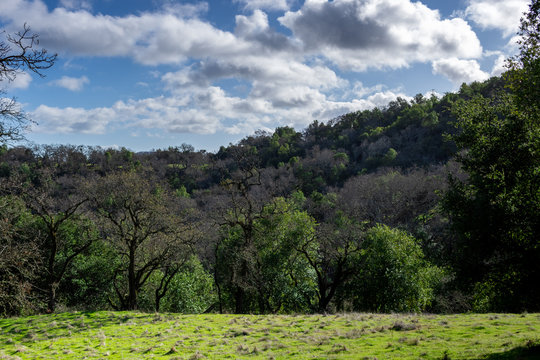 Pacheco Images – Browse 78 Stock Photos, Vectors, and Video | Adobe Stock