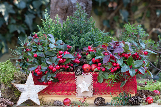 Spiceberry Bilder – Durchsuchen 2,944 Archivfotos, Vektorgrafiken und ...