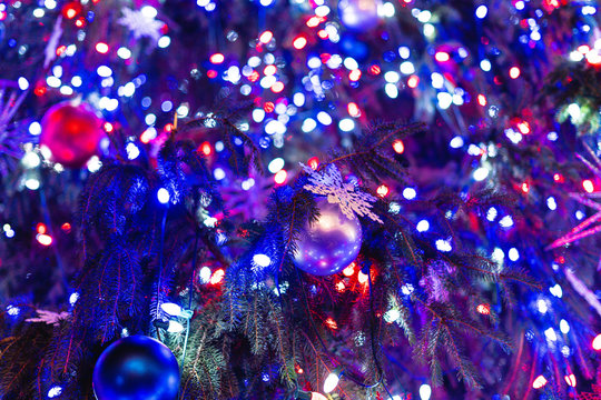 Clinquant Bilder – Durchsuchen 517 Archivfotos, Vektorgrafiken und ...