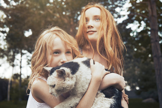 Pet Images – Browse 6,136,013 Stock Photos, Vectors, and Video | Adobe ...