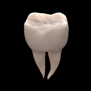 Toothing Images – Browse 1,908,058 Stock Photos, Vectors, and Video ...