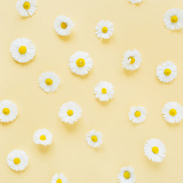 "Daisy Texture" Images – Browse 81 Stock Photos, Vectors, and Video ...