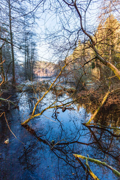 Sumpfig Bilder – Durchsuchen 1,054 Archivfotos, Vektorgrafiken und ...