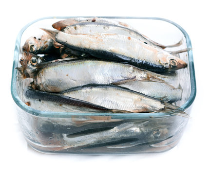 Stock-Fish Images – Browse 18,021 Stock Photos, Vectors, and Video ...