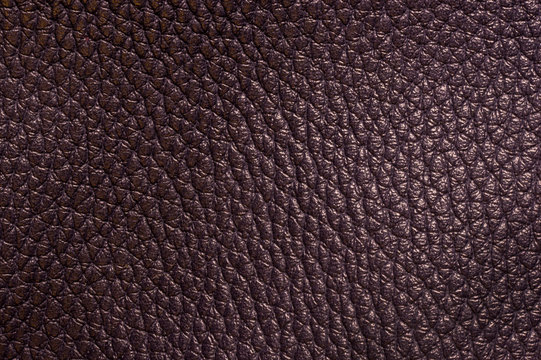 Leather Material 3ds Max