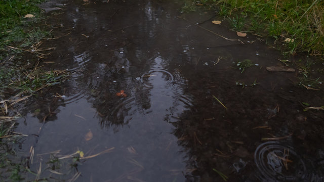 Regn Images – Browse 80 Stock Photos, Vectors, and Video | Adobe Stock