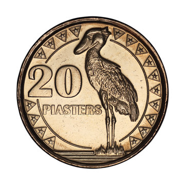 รูปภาพPiastre – เลือกดูภาพถ่ายสต็อก เวกเตอร์ และวิดีโอ6,104 | Adobe Stock