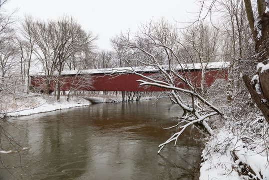 Conley Images – Browse 43 Stock Photos, Vectors, and Video | Adobe Stock