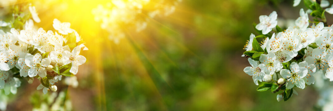 Free March Images – Browse 2,008 Free Stock Photos, Vectors, and Video ...