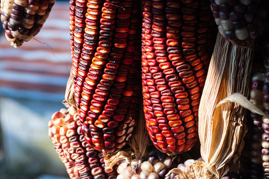 Cireux Images – Parcourir 15,800 le catalogue de photos, vecteurs et ...