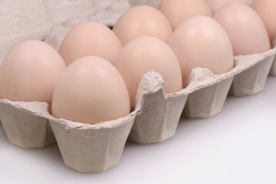 Eischale 画像 - 参照 243 Stock 写真、ベクターおよびビデオ | Adobe Stock