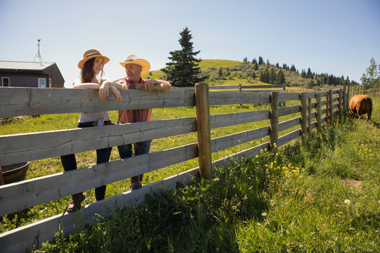 Cattleman Images – Browse 855,626 Stock Photos, Vectors, and Video ...