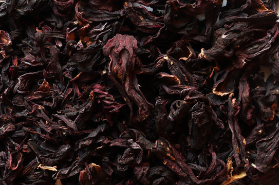 Bissap - Images et vidéos libres de droits | Adobe Stock