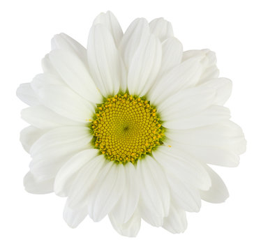 Olaf Simon photos, images, assets | Adobe Stock