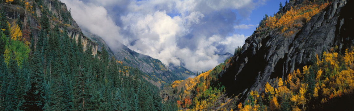 "Engineer Pass" Images – Browse 73 Stock Photos, Vectors, and Video ...