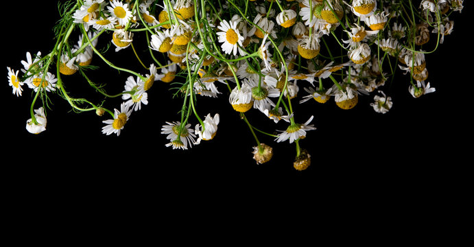 Manz Images – Browse 51 Stock Photos, Vectors, and Video | Adobe Stock